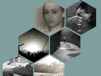 Responsive Hexagon Grid Layout Using HTML CSS - W3Frontend