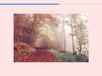 Scroll Progress Bar In Javascript - W3Frontend
