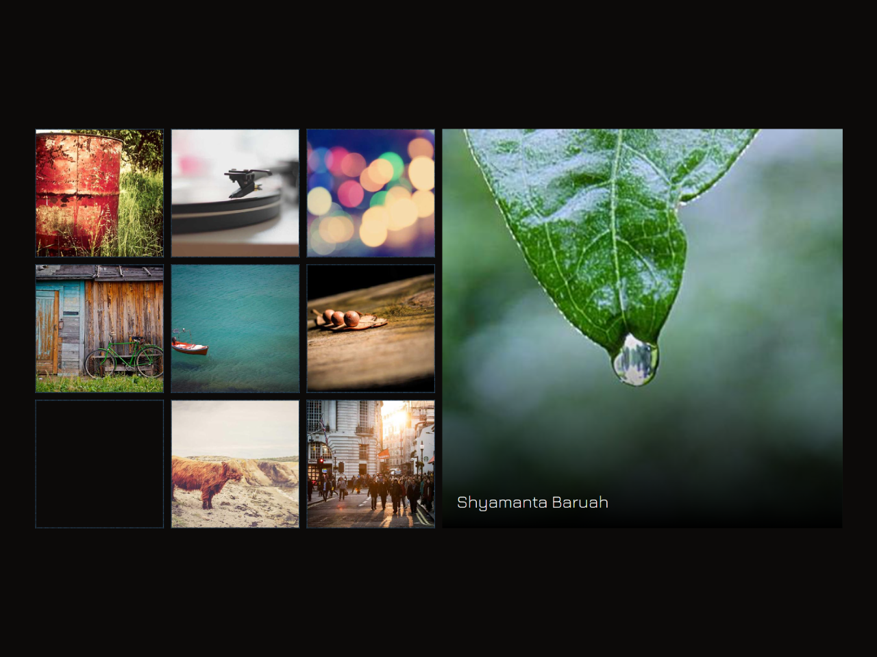 CSS Grid Photo Gallery - W3Frontend
